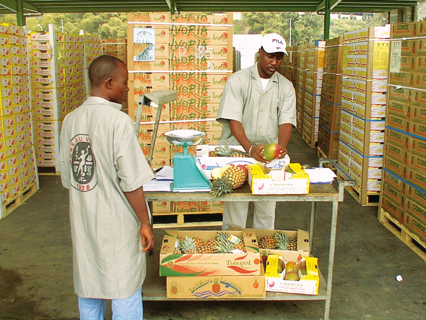 Production & transformation alimentaire | Africa